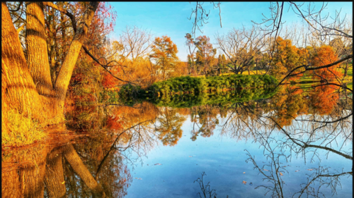 10 Things to do in Randburg | Activities and Entertainment in Joburg