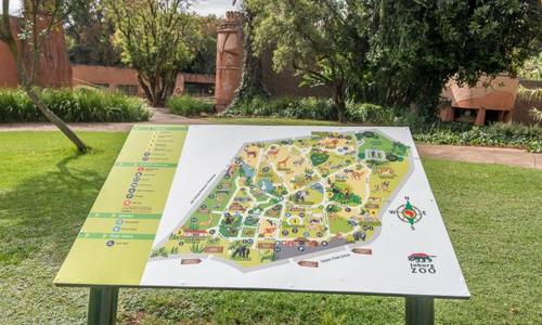 Explore Johannesburg Zoo - The Ultimate Wildlife Adventure!