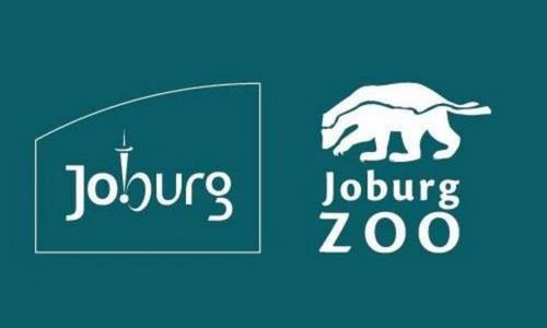 The 15 Best Places to Visit in Johannesburg | City of Joburg