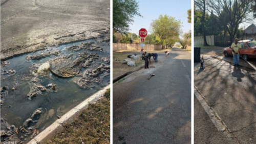 Wierdapark Residents Take Action to Address Local Challenges