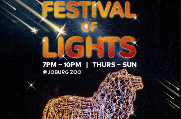 Joburg Festival of Lights 2024: Magical Nights at Joburg Zoo