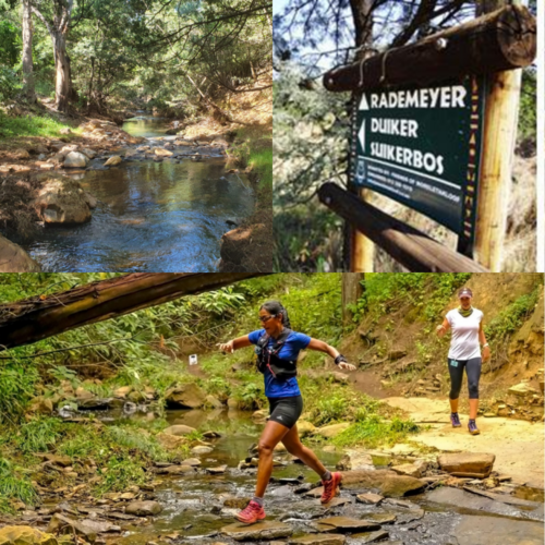 Best Forest Trails in Gauteng for a Serene Outdoor Escape