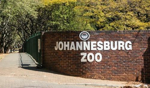 Joburg Zoo Johannesburg – Family Fun, Wildlife & Tours All Year Round