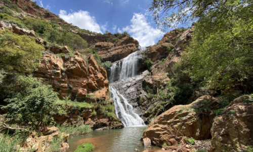 Thaba Trails Jozi | Top Mountain Biking & Hiking 2025