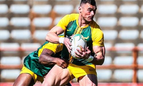 Springbok Alignment Camp 2025: Squad, Schedule & Key Details