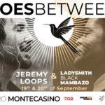 Travis Scott Live in Johannesburg 2025: FNB Stadium Concert Details