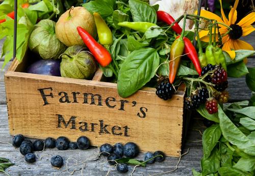 Top Weekend Markets in Johannesburg | 25–27 July 2025