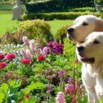 Travis Scott Live in Johannesburg 2025: FNB Stadium Concert Details