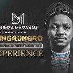 Travis Scott Live in Johannesburg 2025: FNB Stadium Concert Details