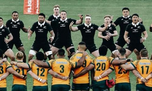 Springbok Alignment Camp 2025: Squad, Schedule & Key Details