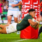 Springbok Alignment Camp 2025: Squad, Schedule & Key Details