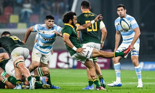 Springbok Alignment Camp 2025: Squad, Schedule & Key Details