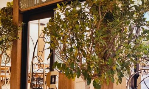 Fishmonger Rosebank: Fresh Seafood Delight in Joburg