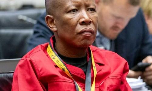 Matthew Chaskalson Appointed New Evidence Leader at Madlanga Commission