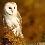 Zoo Trot Fun Run/Walk at Johannesburg Zoo | Things To Do