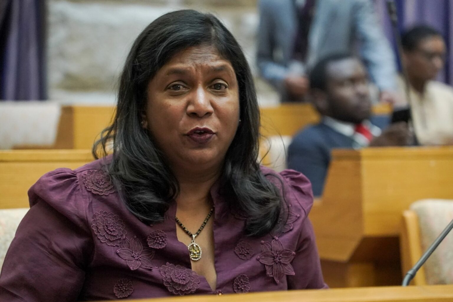 Andrea Johnson Faces Parliament Over ‘Big Five’ Corruption Allegations