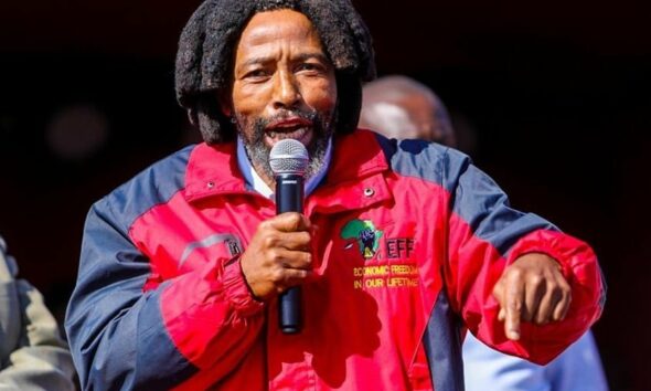 Idac Head Andrea Johnson Denies Sharing Work Secrets with Crime Intel ...