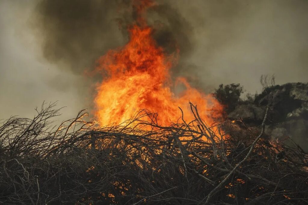 Veld fires sabotage in South Africa raises alarm over rural safety