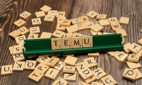 Temu’s Success in SA: Affordable Shopping That’s Changing E-Commerce
